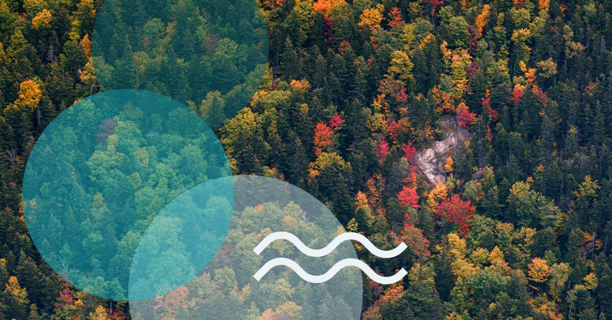 Barometric Pressure and Migraine: Coping with the Transition to Fall
