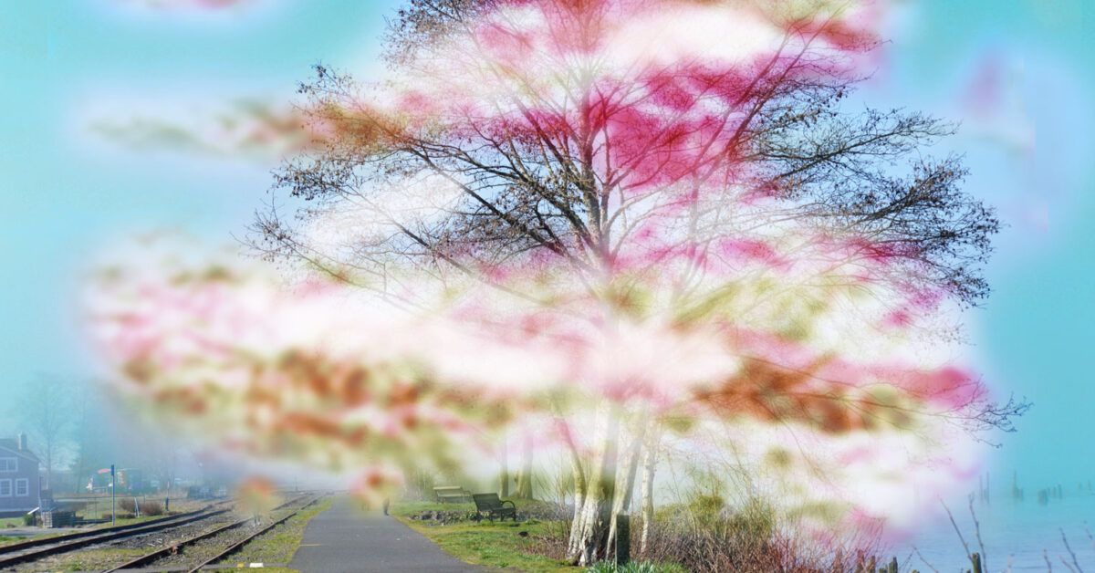 Migraine Aura: Everything You Need to Know About the Types of Aura