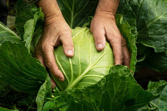 3 causes for pain in the thumb IP joint | Optum Perks